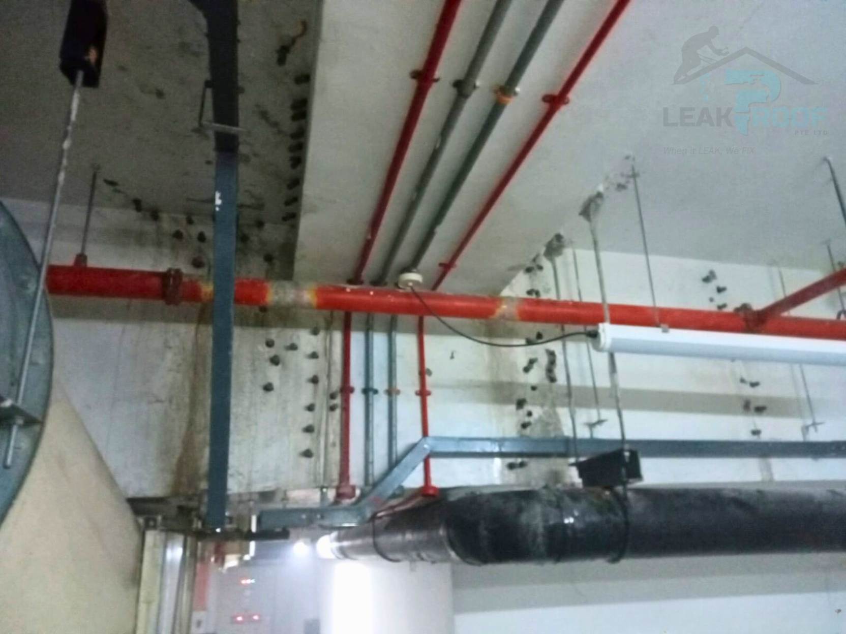 Leakproof Pte Ltd – Waterproofing And Plumbing – Honest, affordable and ...